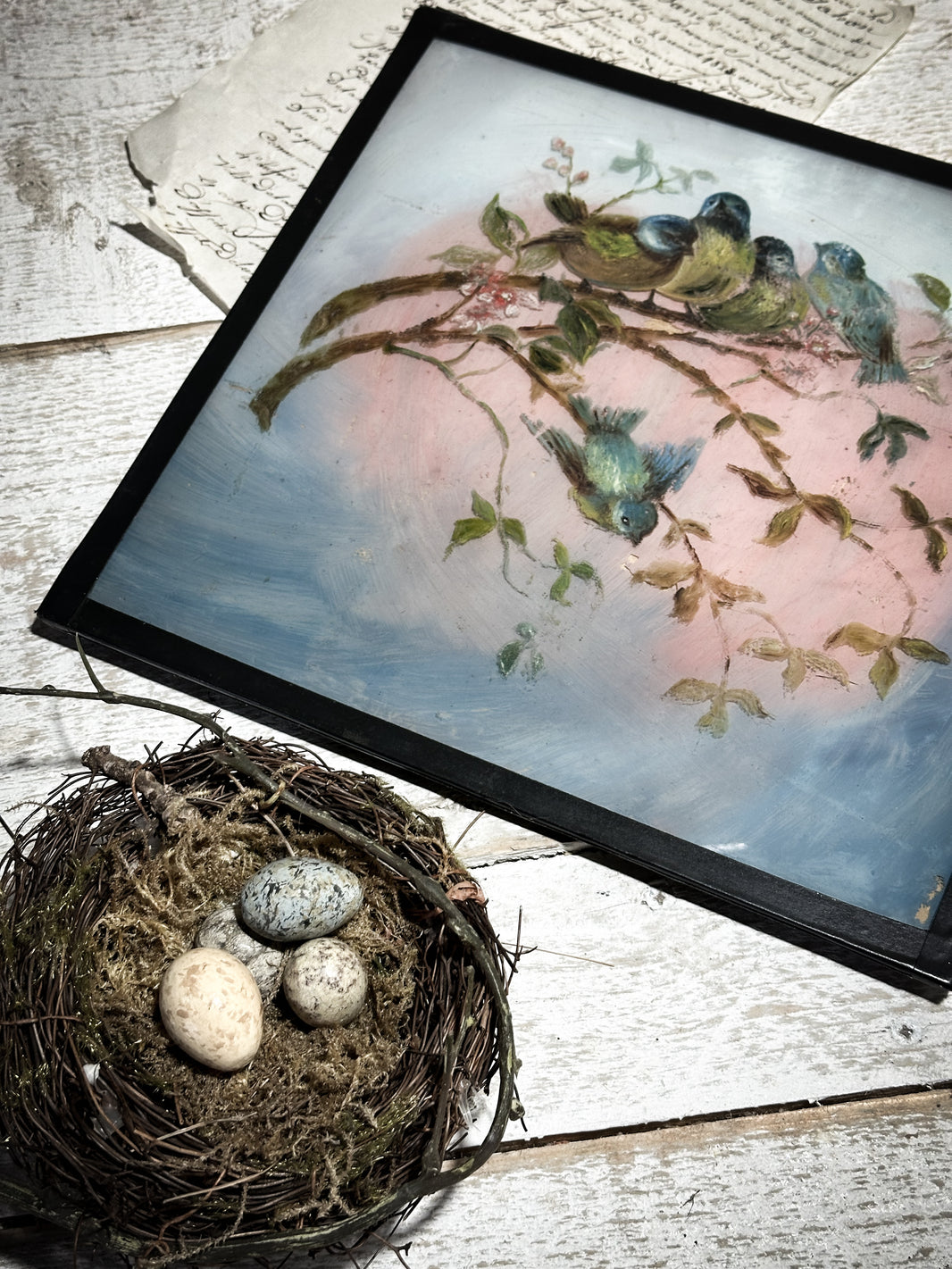 Home Aesthetics – Nicholas and Steele