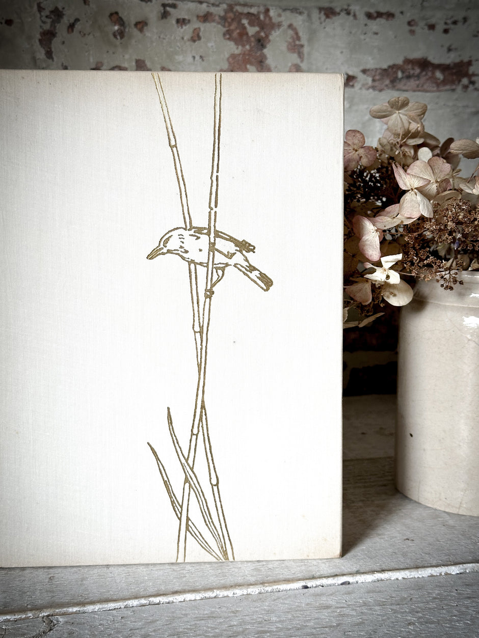 Home Aesthetics – Nicholas and Steele