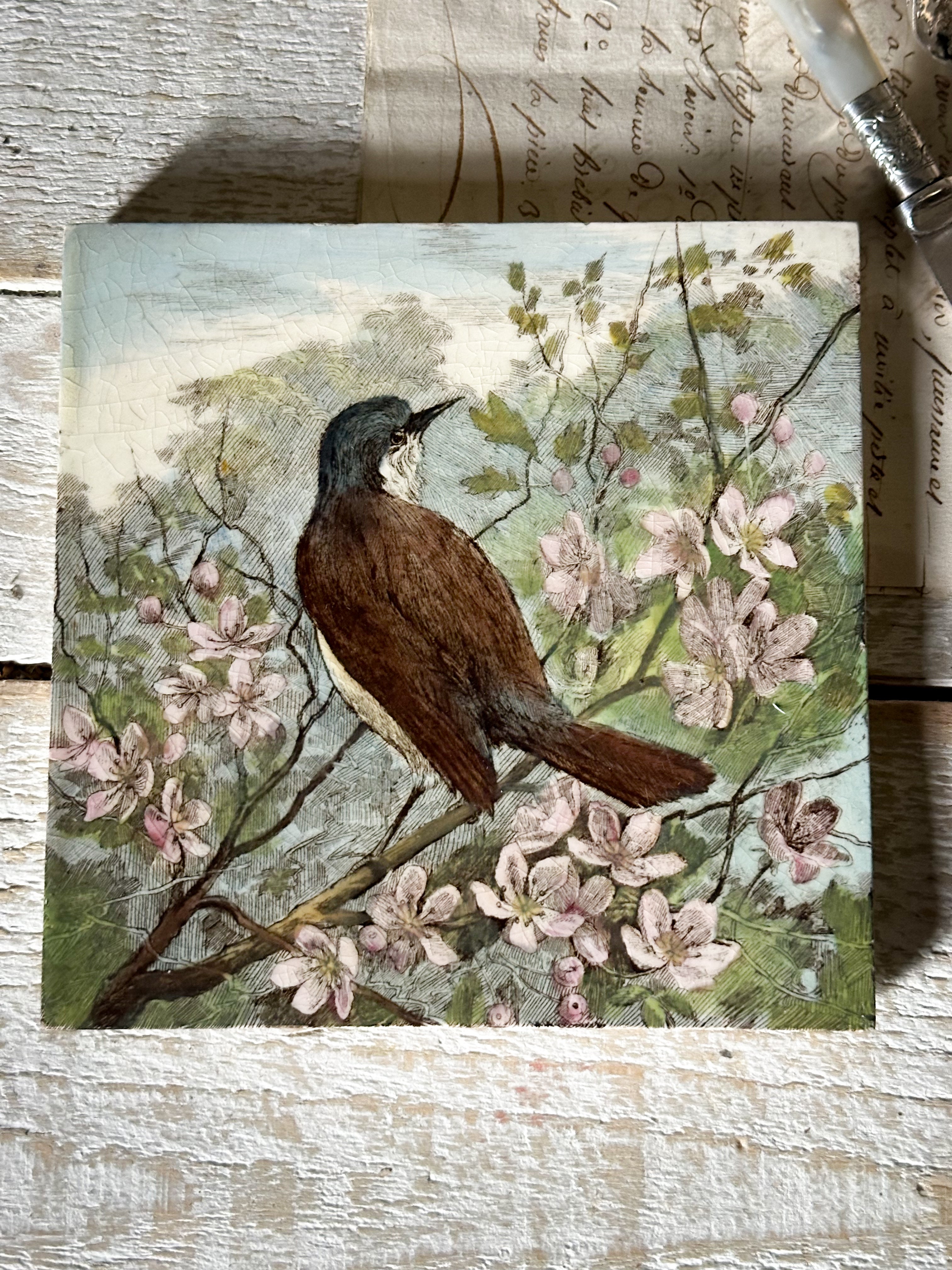 Home Aesthetics – Nicholas and Steele