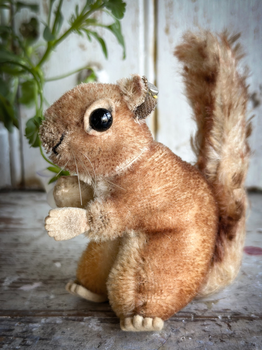 Home Aesthetics – Nicholas and Steele